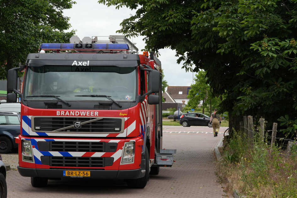 Hondje vast tussen schutting en schuurtje, brandweer schiet te hulp
