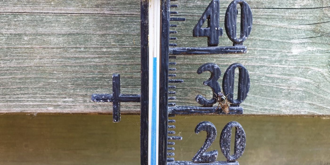 Heet, heter heetst.... zeker in Zeeuws-Vlaanderen - Omroep ZVL